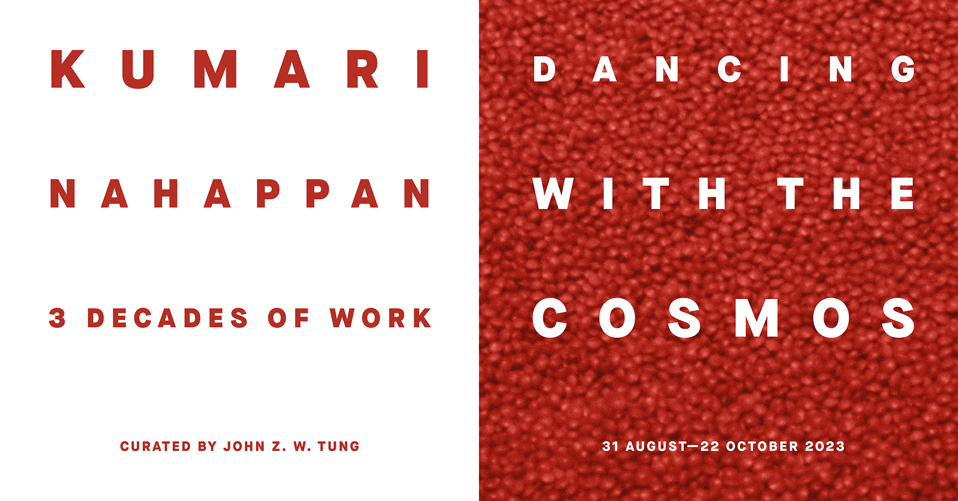 » Dancing with the Cosmos: Three Decades of Work from Kumari Nahappan